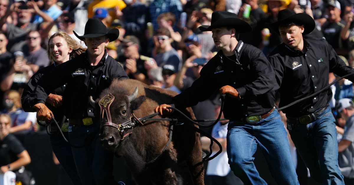 Colorado Buffaloes College Football Preview 2023: Keys To The Season ...