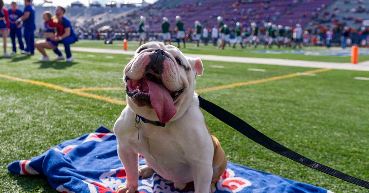Louisiana Tech Bulldogs College Football Preview 2023: Keys To The ...