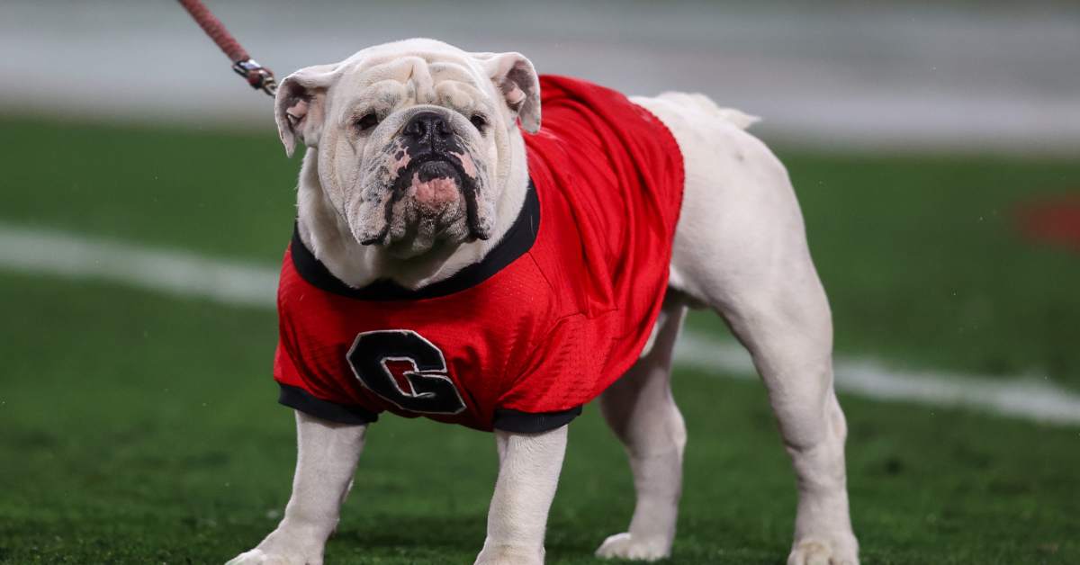 Georgia Football 2024 Preview: Win Total, Predictions, and Season Keys ...