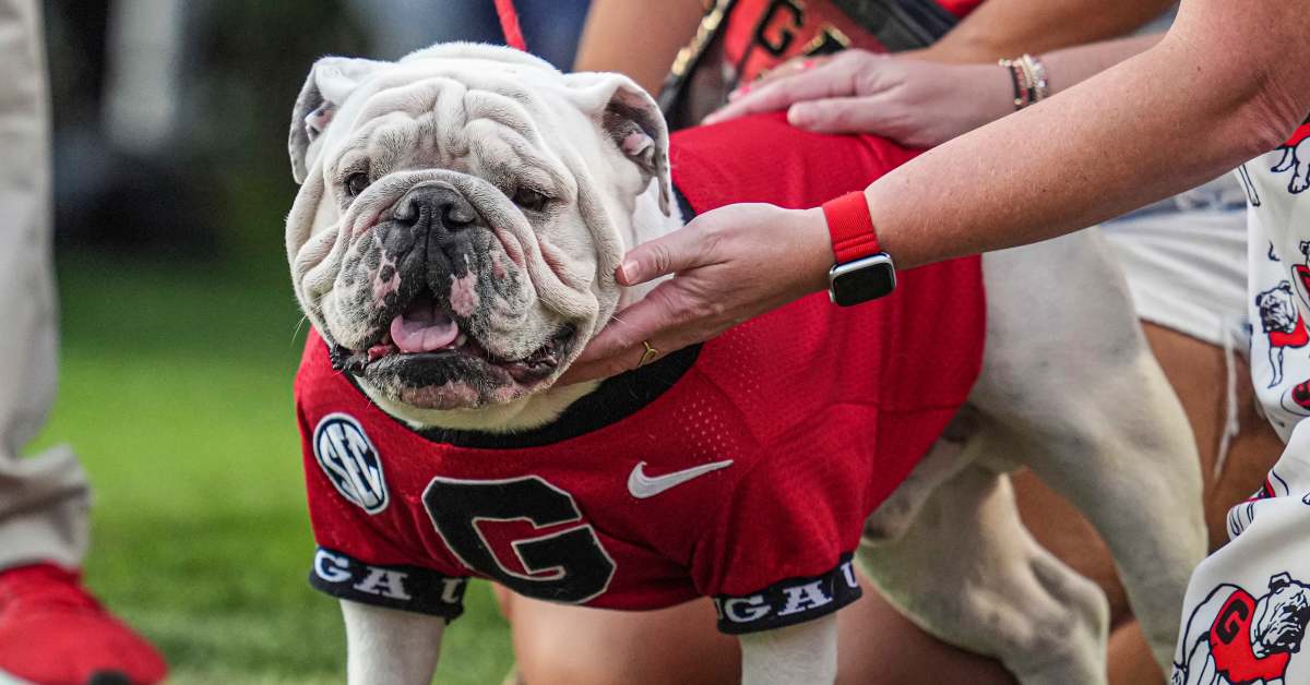 Georgia Football Preview 2025: Bulldogs Prediction, Win Total, Top ...