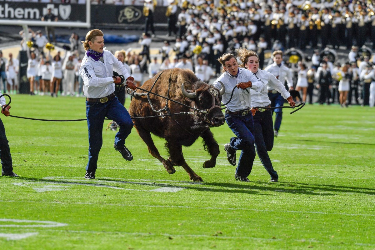 College Football World Reacts To Bizarre Incident Involving Shirtless ...