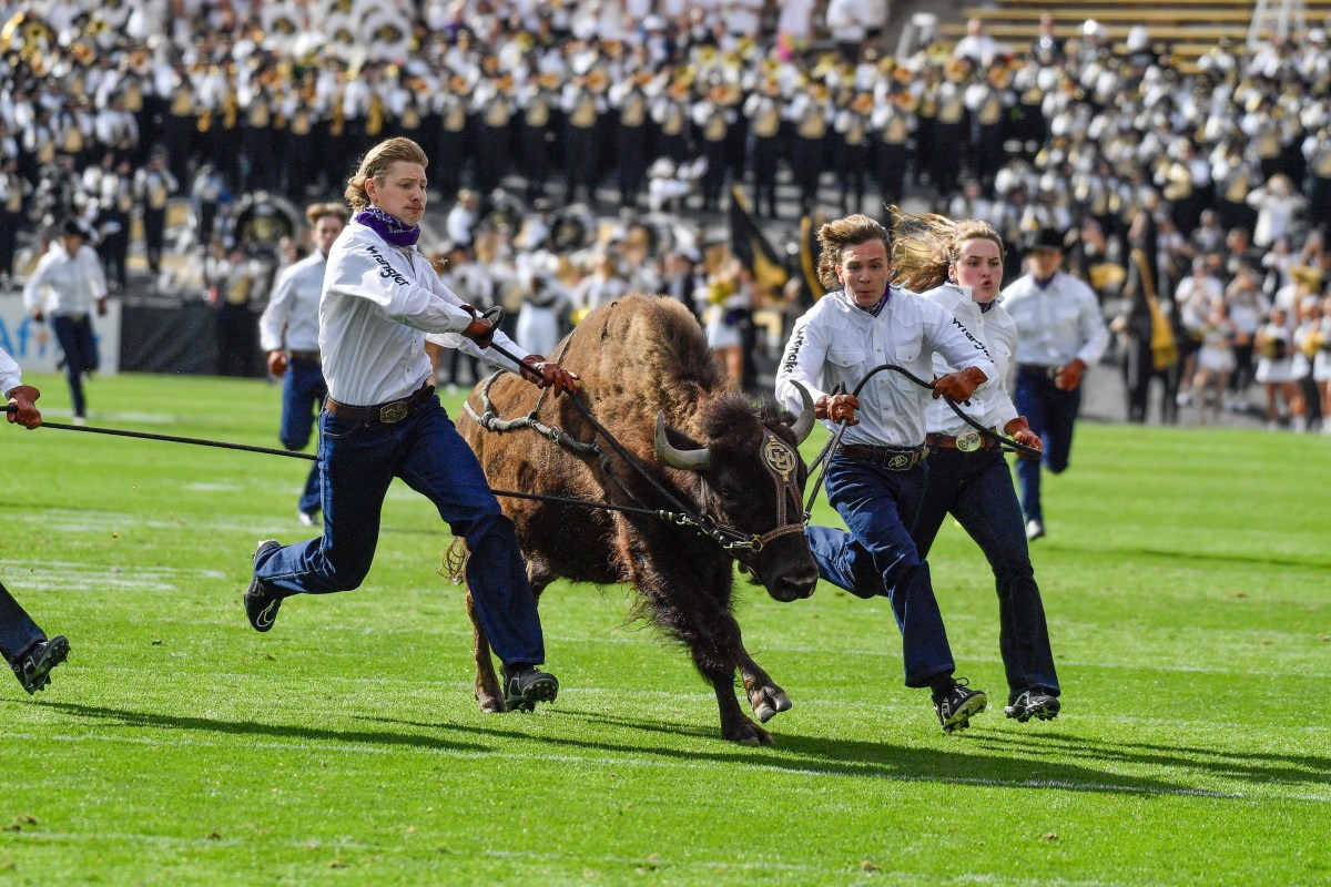 Colorado at Arizona State Point Total: 10 Best Predictions Against The ...